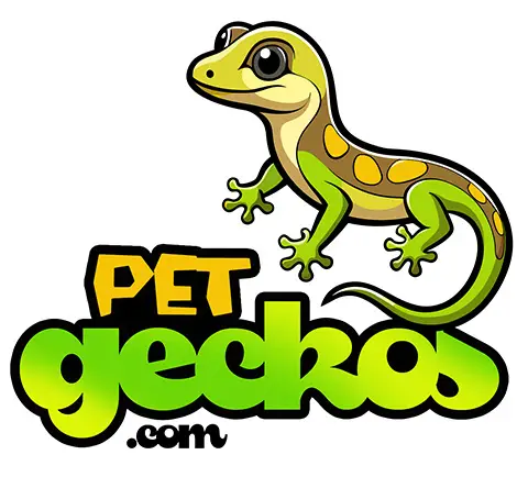 Common House Gecko: Species Profile - Pet Geckos